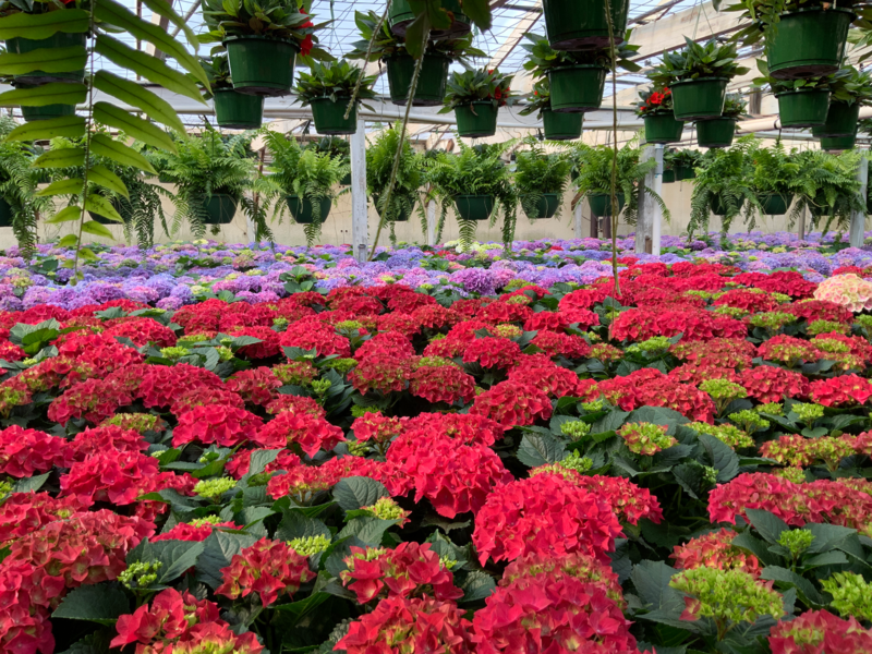 Now is the time to make a trip to Morgan’s Market to dig into some fun.